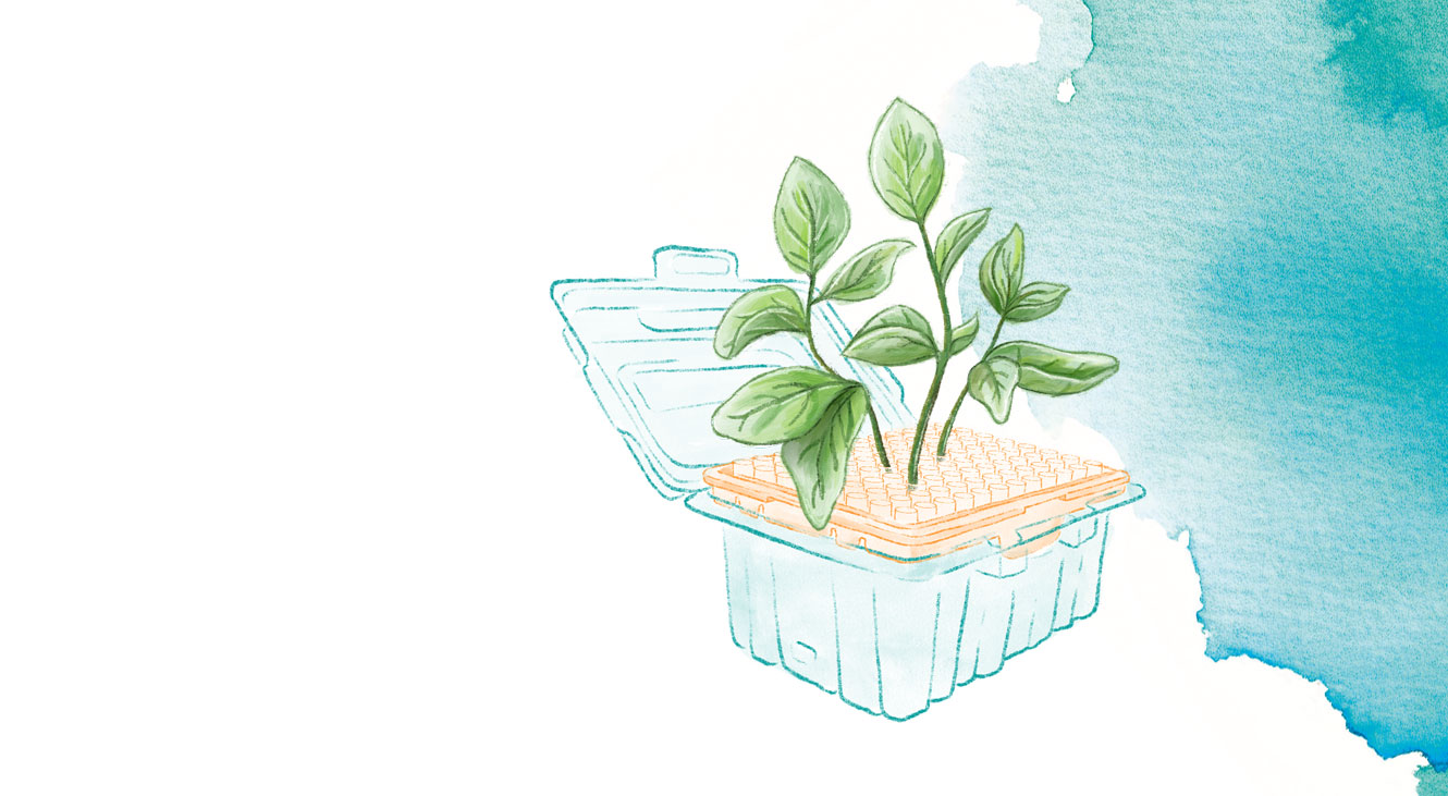 growing paper | INTEGRA