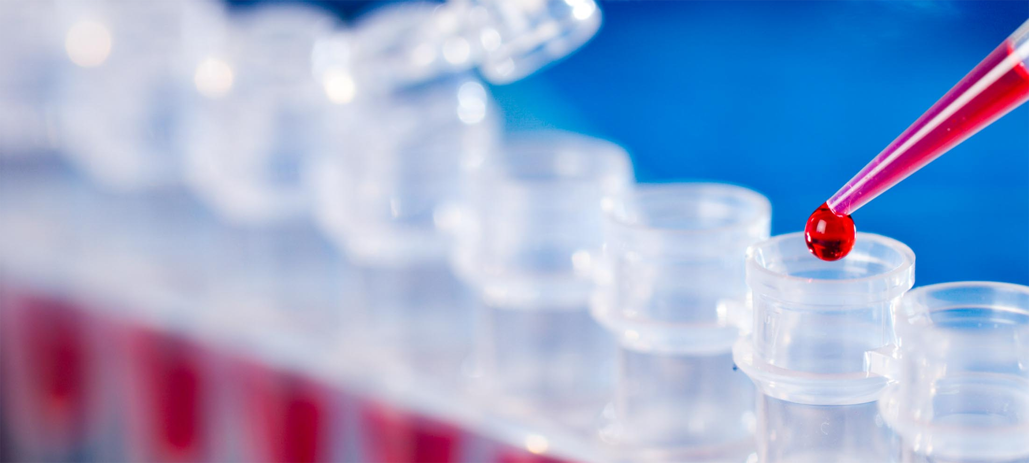 The complete guide to PCR | INTEGRA