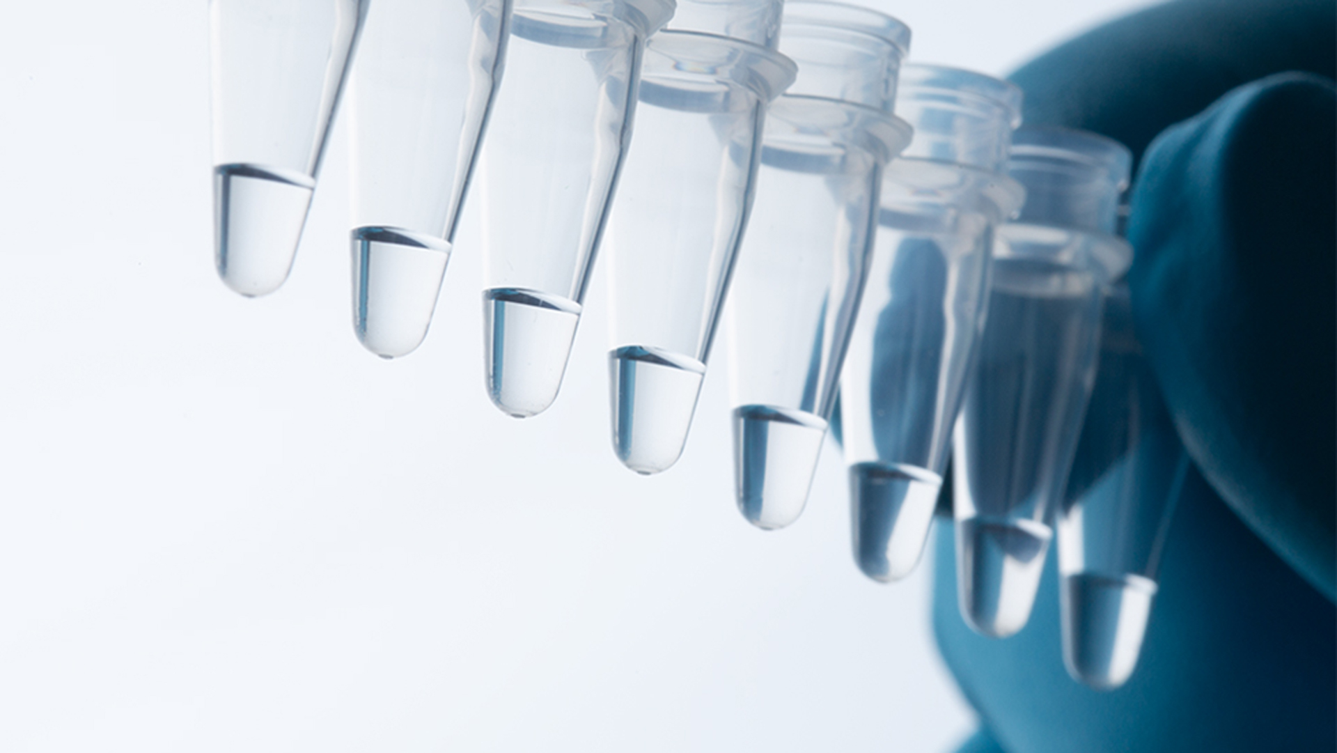 Drug Discovery | INTEGRA