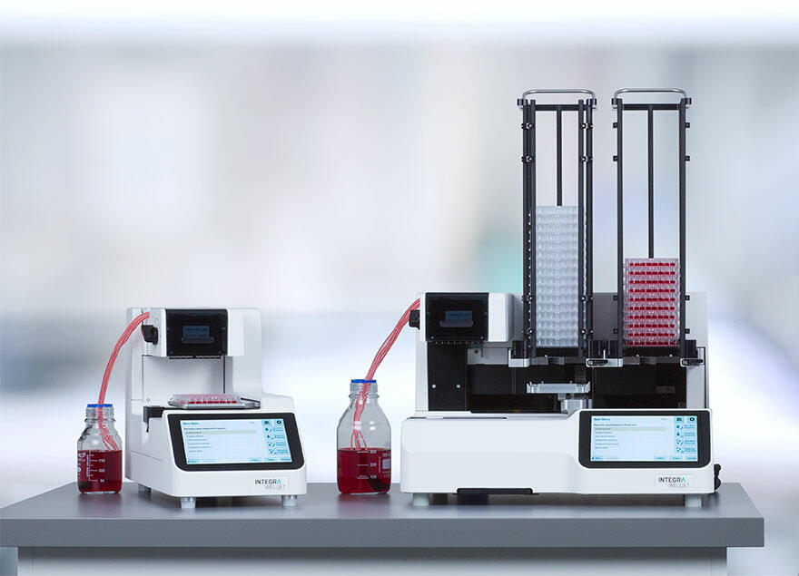 Expert advice: reagent dispensing for MTT assays | INTEGRA