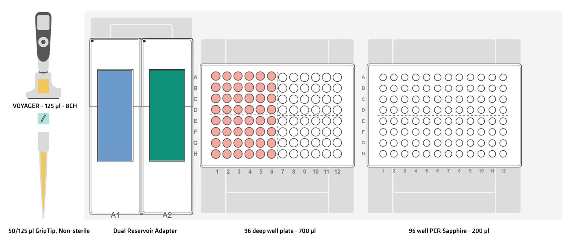 How to automate DNA extraction with the Arcis kit | INTEGRA