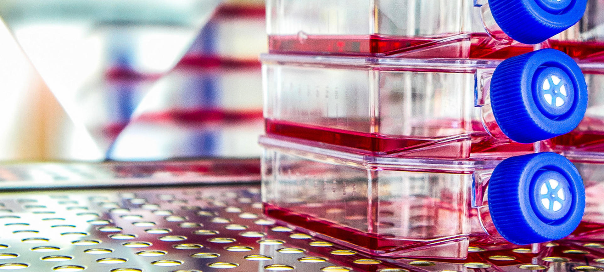 An introduction to cell culture techniques and challenges (2022) An introduction to cell culture techniques and challenges (2022)
