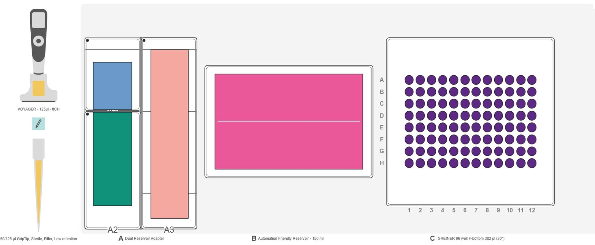 Automated MTT assay for cell proliferation | INTEGRA