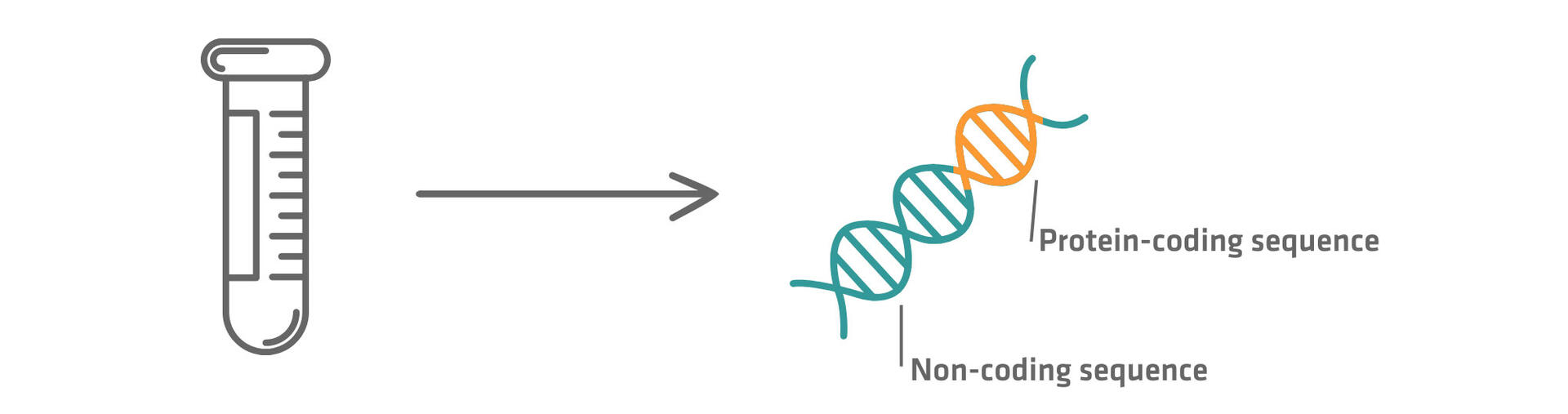 Whole Exome Sequencing Integra