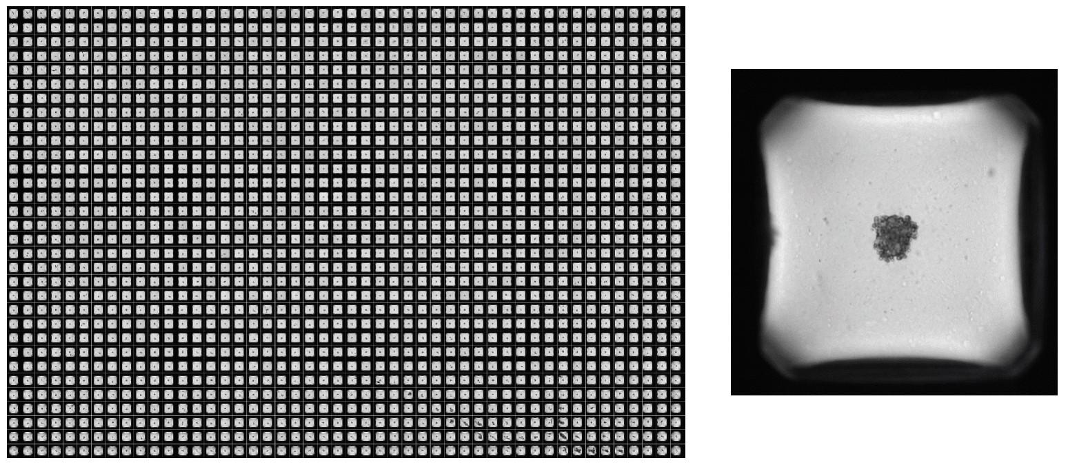 3D assay development on spheroids in 1536 plates | INTEGRA