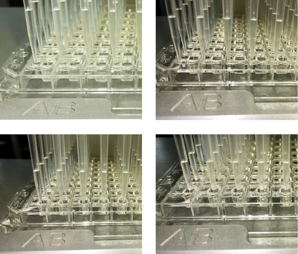 Set-up of protein crystallization plates with the VIAFLO 96 | INTEGRA