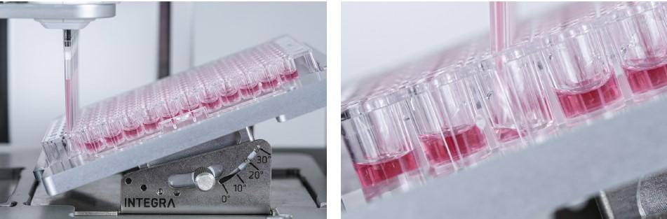 Automated MTT assay for cell proliferation | INTEGRA