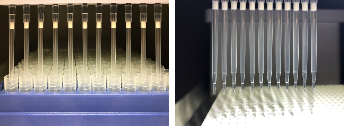 Automated RT-PCR set-up [COVID-19 testing] | INTEGRA