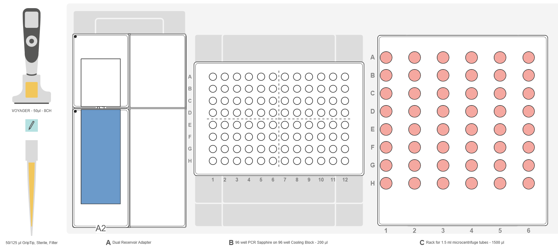 Automated PCR set-up for HPV testing | INTEGRA
