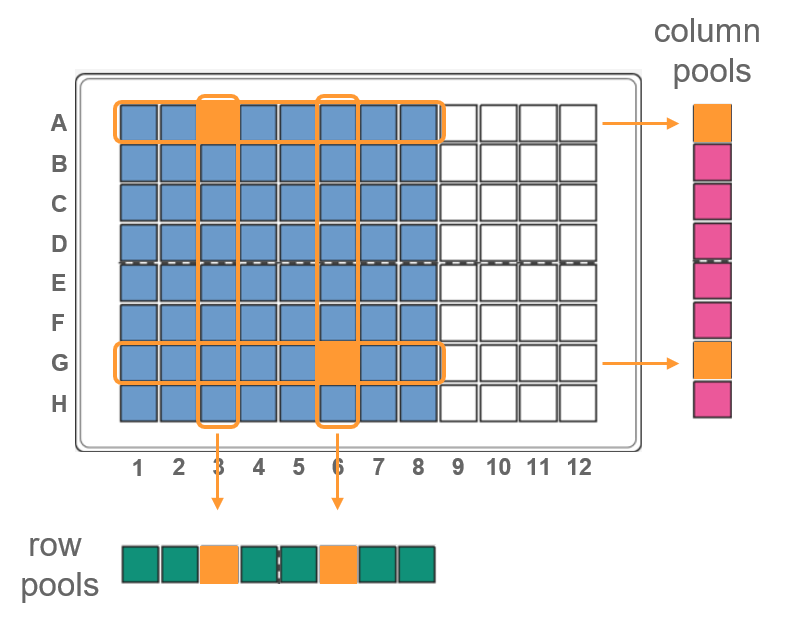 Automated two-way sample pooling | INTEGRA Biosciences