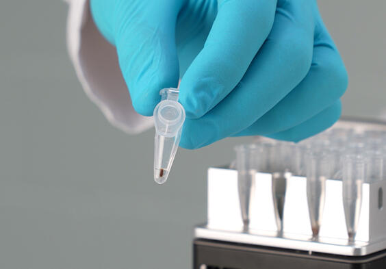 New modules streamline magnetic bead purifications | INTEGRA