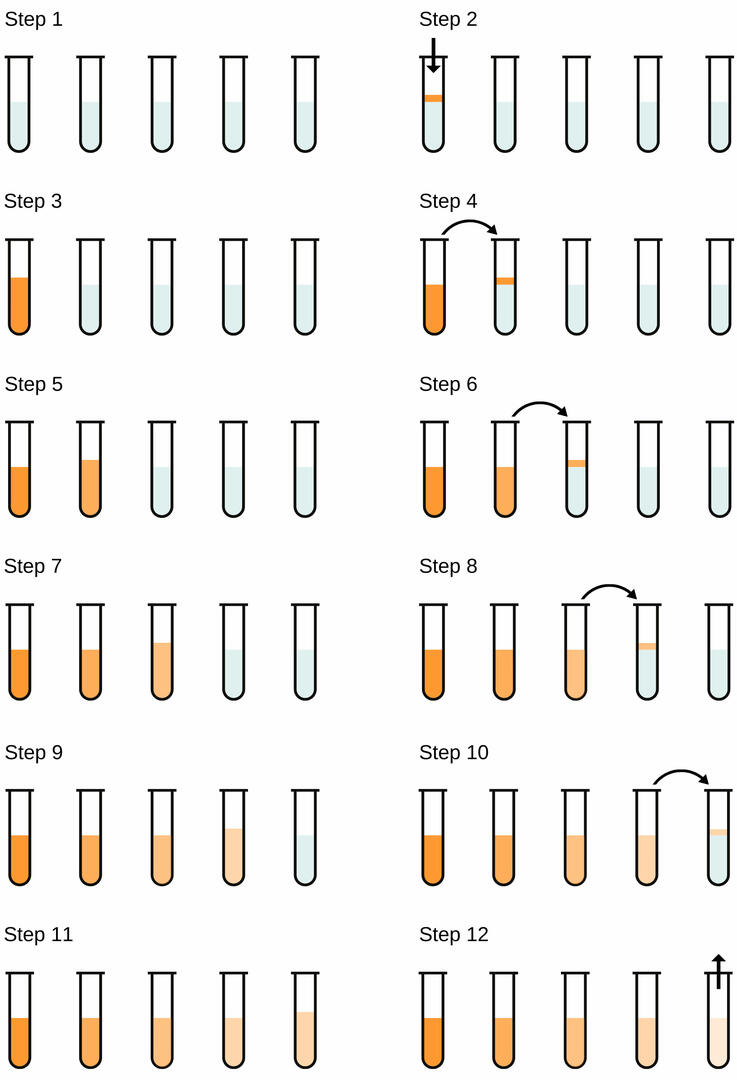 Serial Dilution Diagram Serial Dilution Diagram