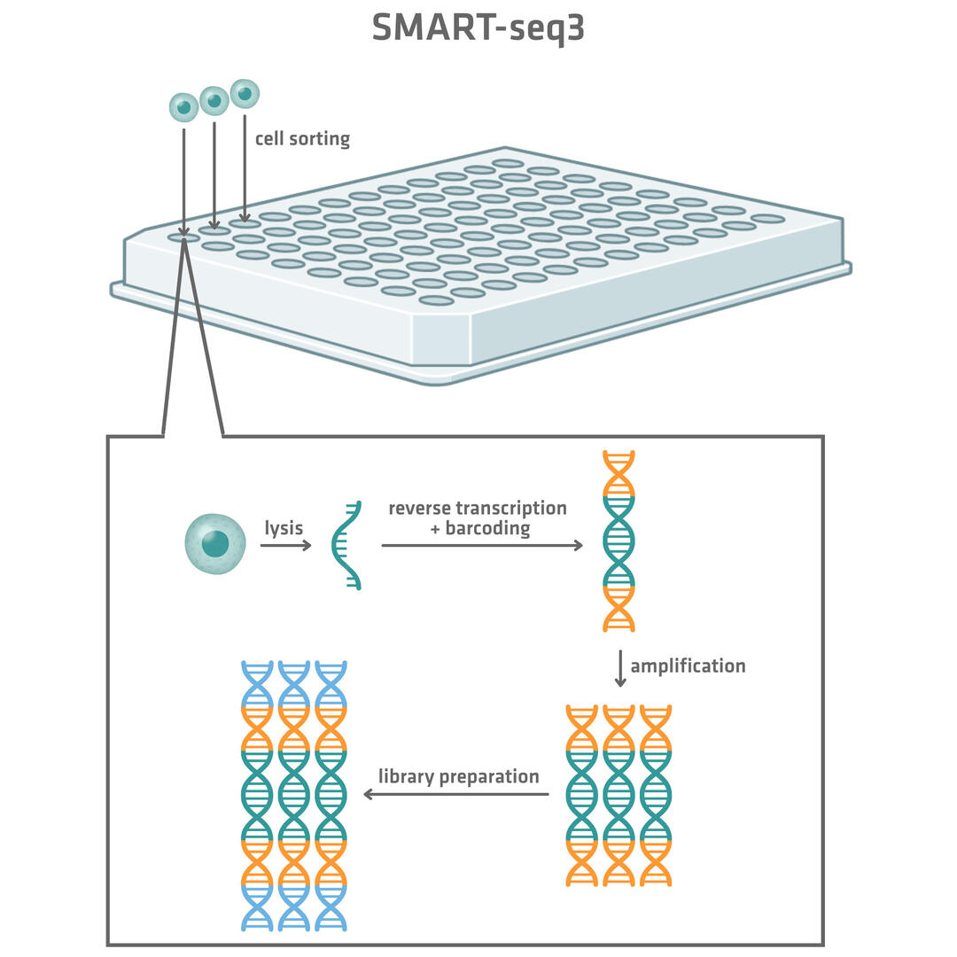 Single-cell RNA sequencing methods explained | INTEGRA