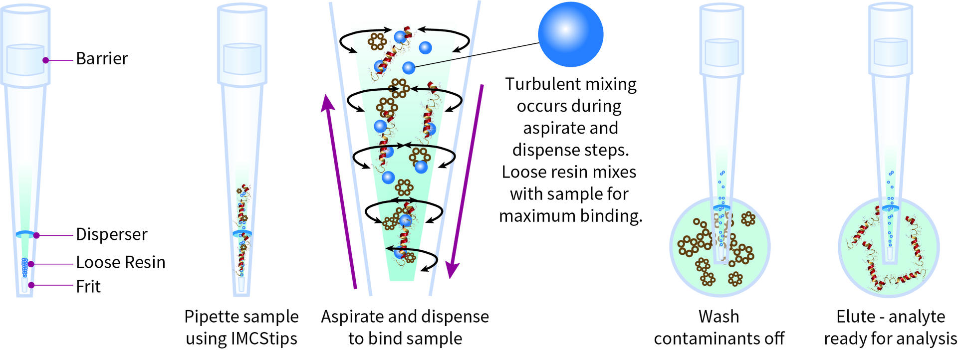 Automated affinity purification of immunoglobulins (IgGs) using INtip™ dispersive solid-phase ...