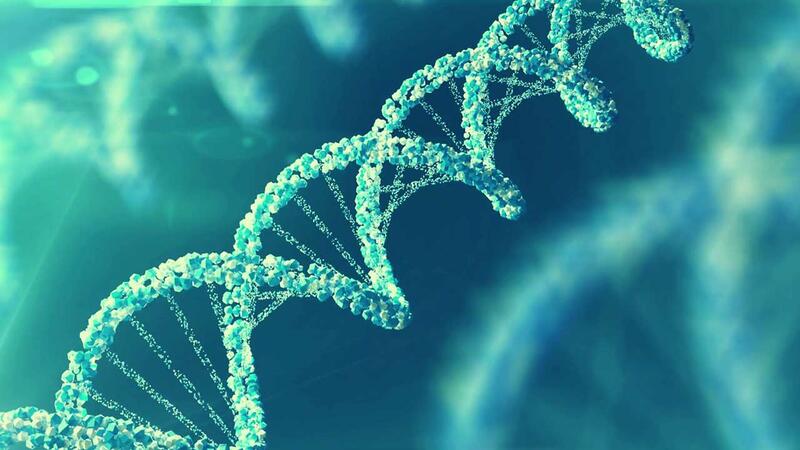 MIRO CANVAS | Fully Automated NGS Sample Prep | INTEGRA