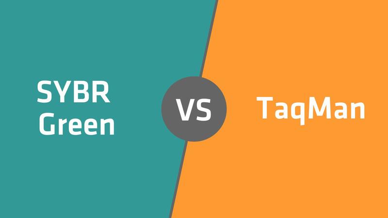 How qPCR works: SYBR Green vs TaqMan | INTEGRA