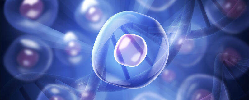 DNA extraction | Definition, steps & methods | INTEGRA