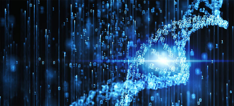 Dna Fingerprinting Definition Uses And How It Works Integra
