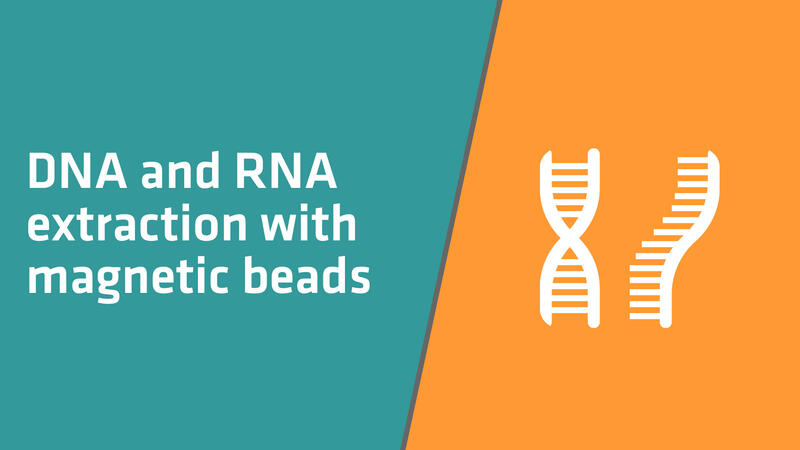 DNA extraction | Definition, steps & methods | INTEGRA
