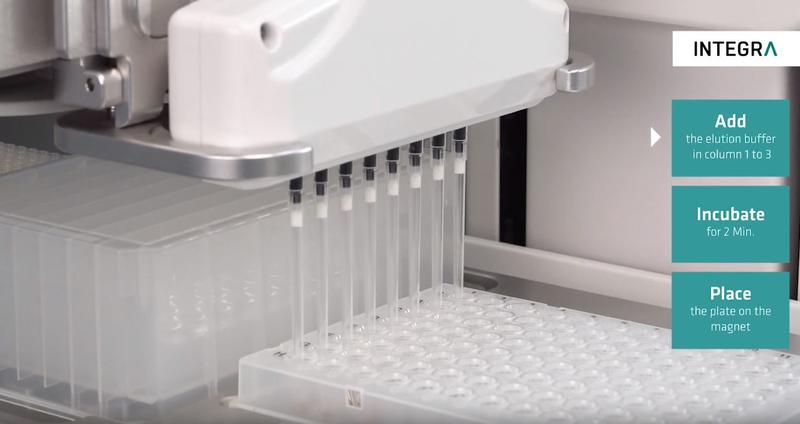 AMPure XP beads protocol for PCR purification | INTEGRA