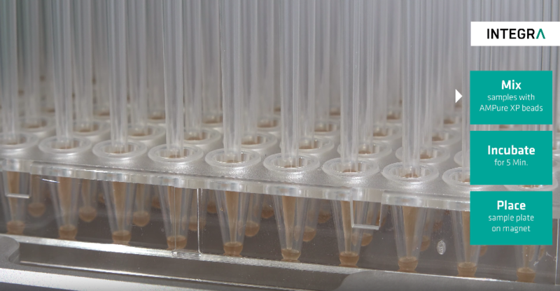 PCR clean-up protocol with magnetic beads | INTEGRA