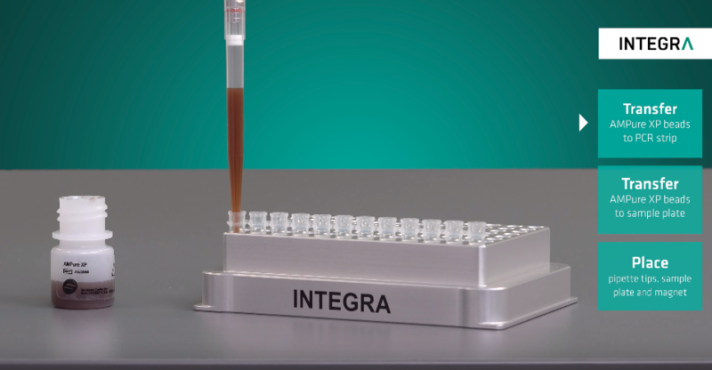 PCR clean-up protocol with magnetic beads | INTEGRA