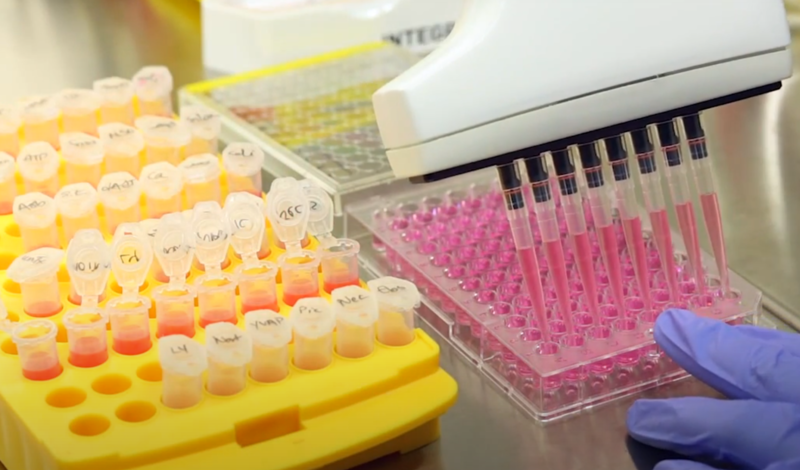 Increase your sample screening and genotyping assay throughput with the ...
