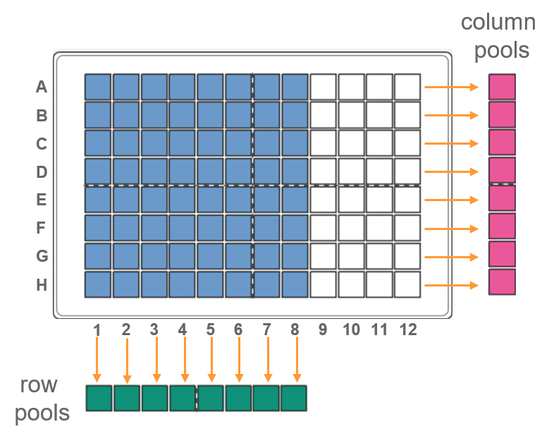 Automated two-way sample pooling | INTEGRA Biosciences